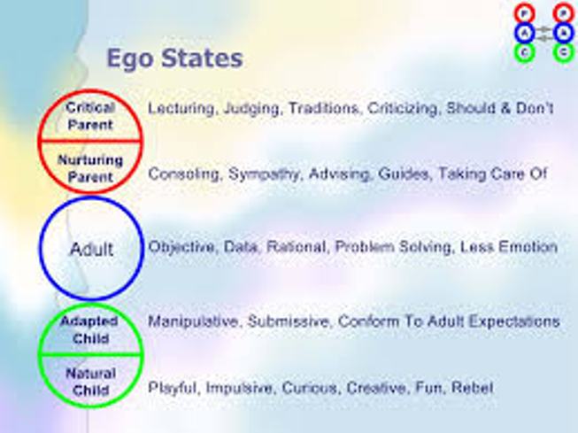 Roots of Sweet and Bitter Relationships – Boundless in Motion